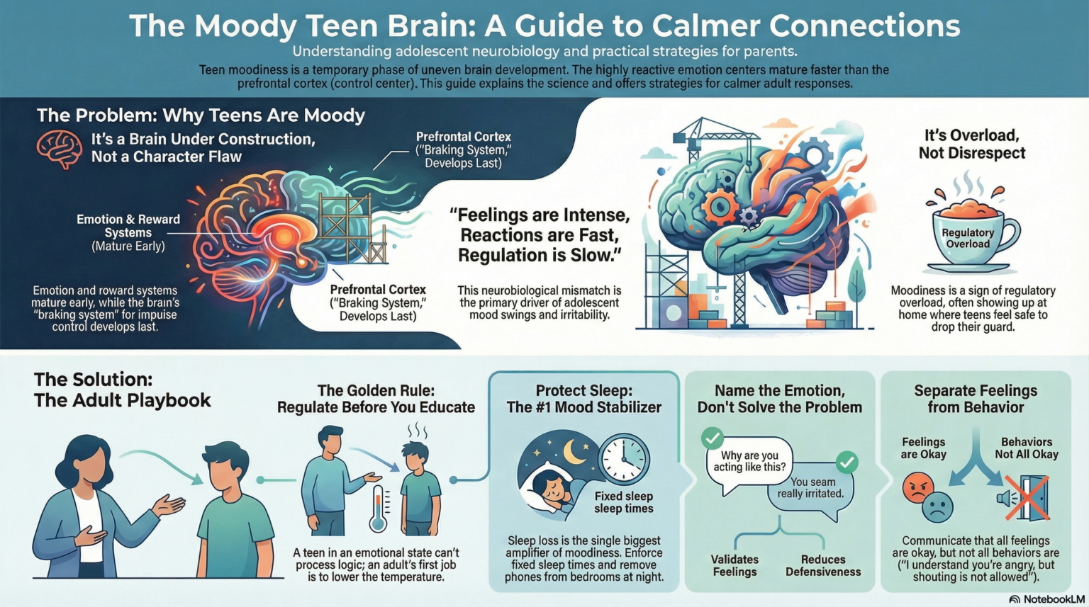 Moodiness in Teenagers: A Practical Management Guide - Dr T Srinivas ...