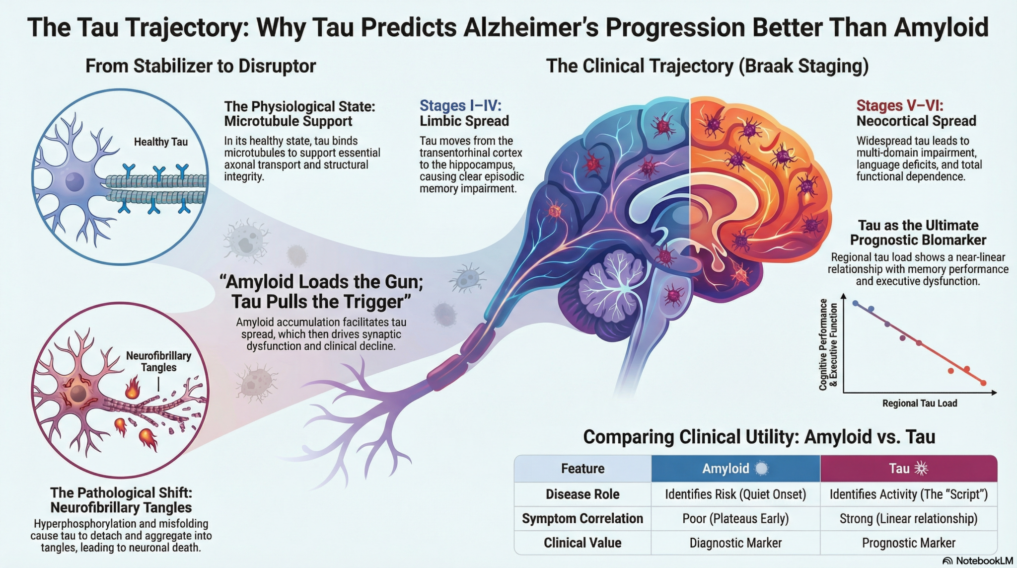 Tau Deposition in Alzheimer’s Disease: Why Tau Predicts Symptoms Better ...